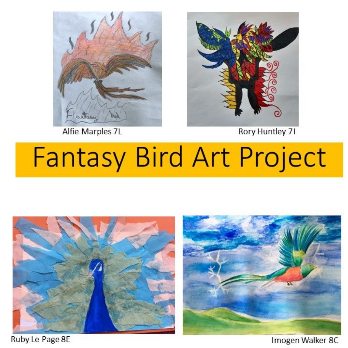 KS3 Art project - Fantasy Birds - Meadowhead School