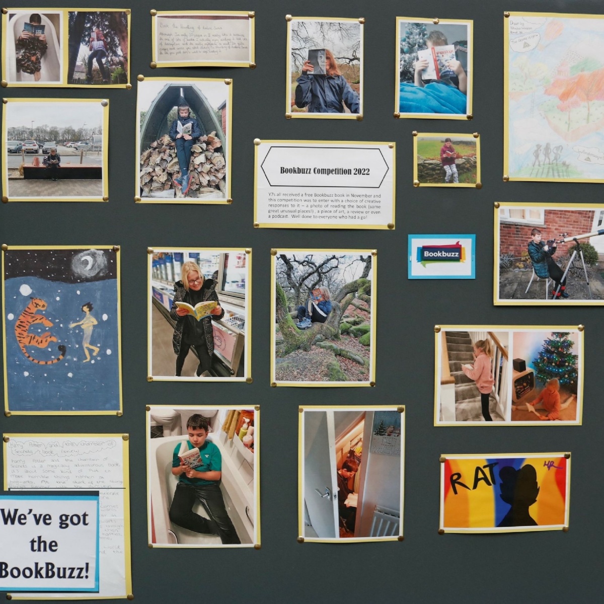 Y7 BookBuzz Competition - Meadowhead School